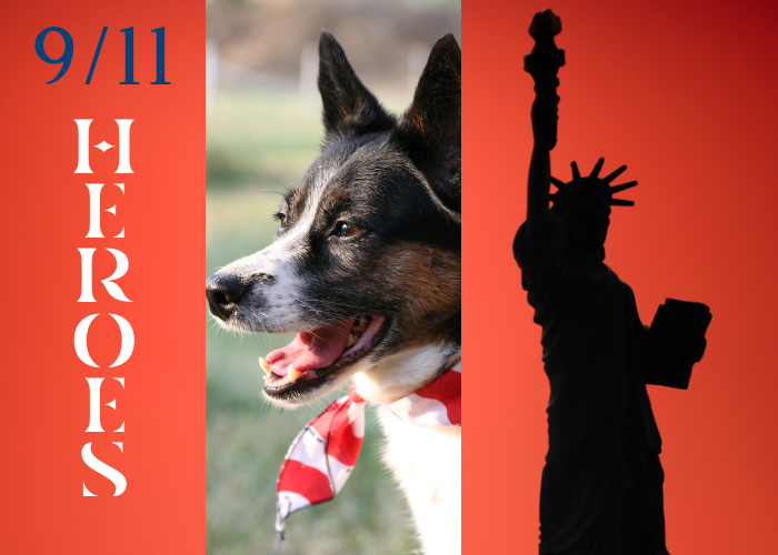 Heroes Come in All Shapes & Sizes: Remembering 9/11 and all the Canine ...