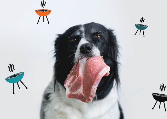BBQ Safety Tips for Your Dog & A Great Recipe for All to Share! – Pet ...
